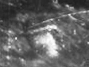 New Tiger I project - Fehrmann F13 - Missing-Lynx